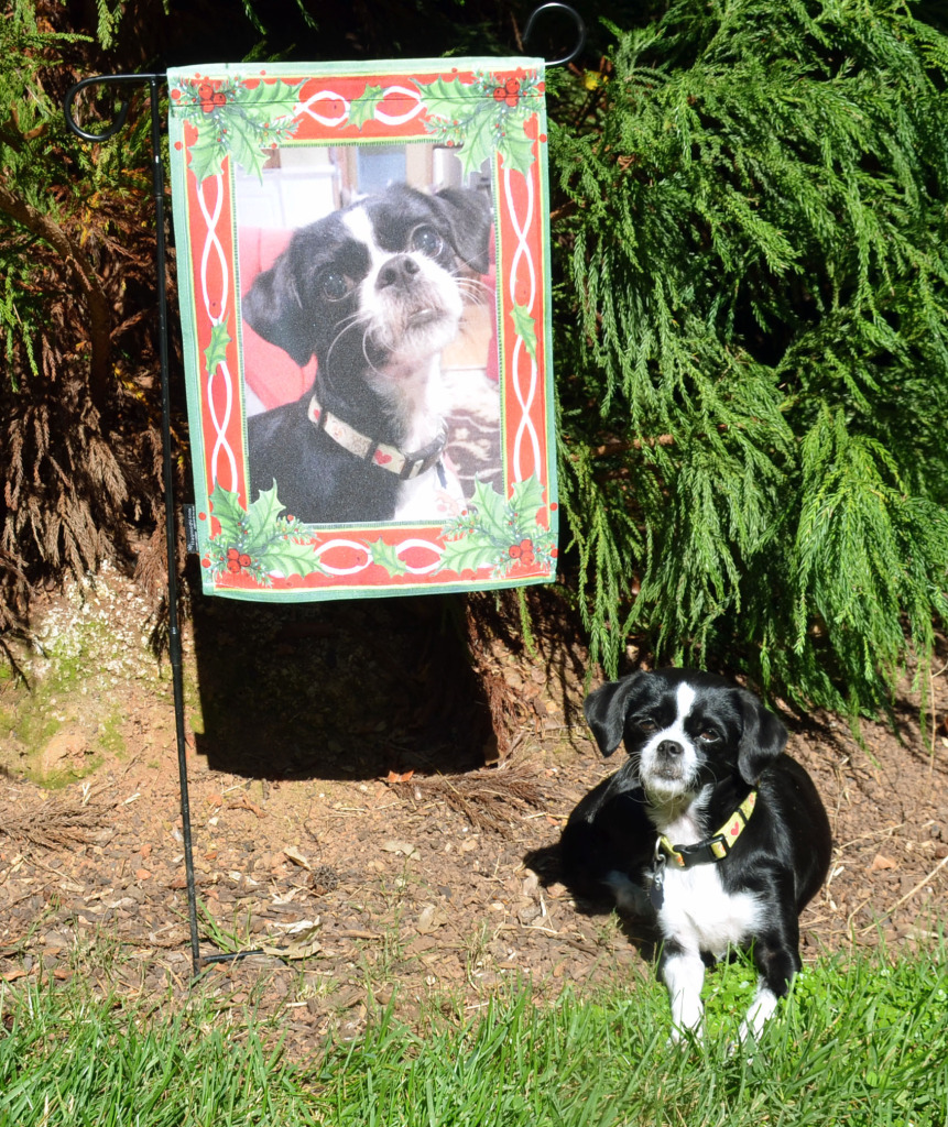 Custom Pet Flags Archives
